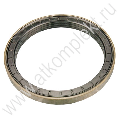 Сальник 123.06.016.01 DANA